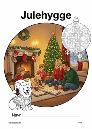 Julehygge | Hygge 1., 2., 3., 4. klasse | Naturfagene.dk
